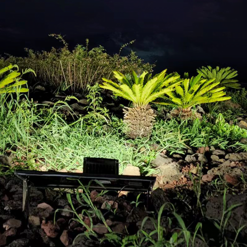 Solar Flood Lights For Sale – Solar lighting manufacturer